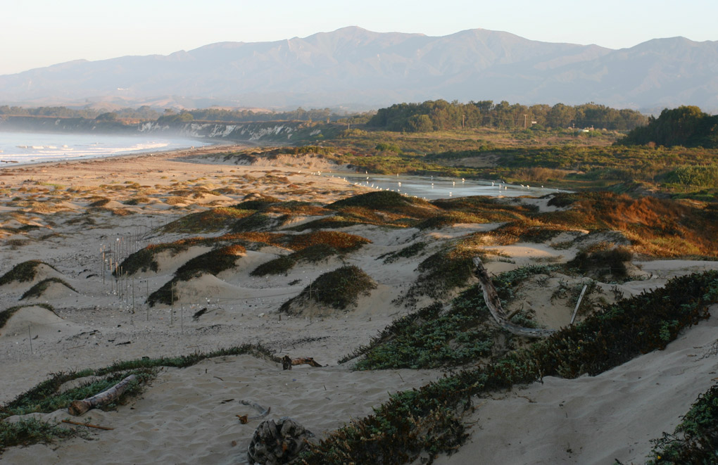 Bowdish Home Page - Coal Oil Point Reserve and Goleta Area