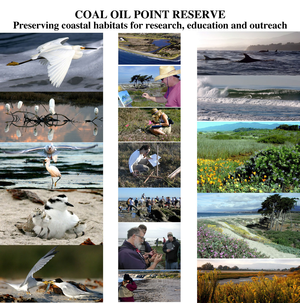 Bowdish Home Page - Coal Oil Point Reserve and Goleta Area